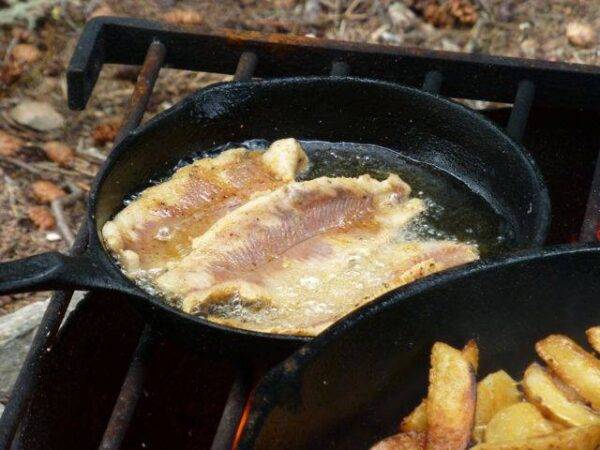 Arctic Grayling, The Ultimate Anglers Guide - Grizzly Creek Lodge