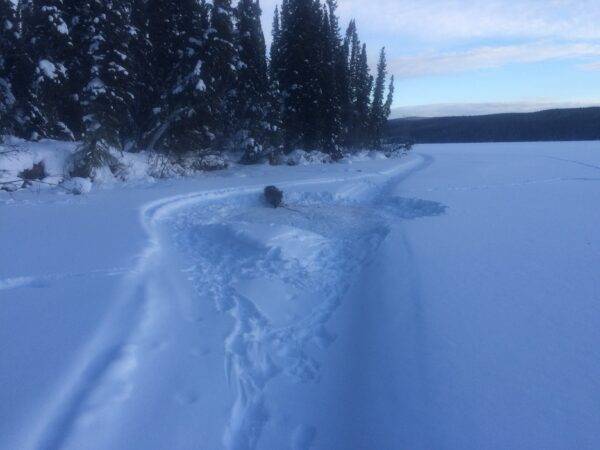 trap covers for leg hold - Grizzly Creek Lodge Trapline blog